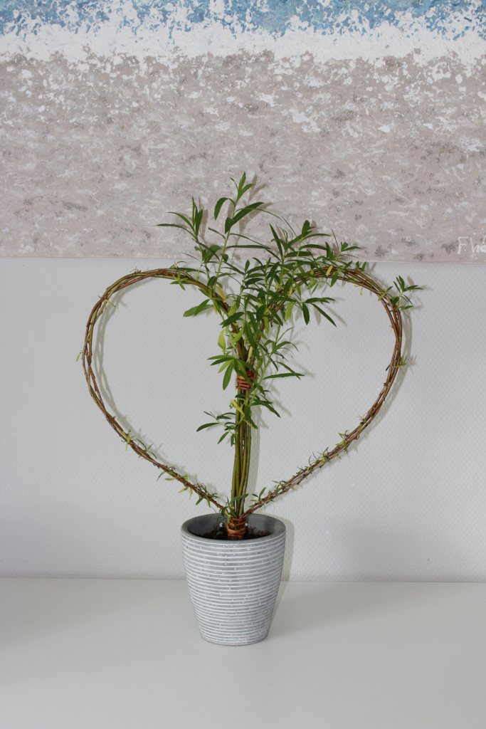 Témoignages – Fabienne Weber